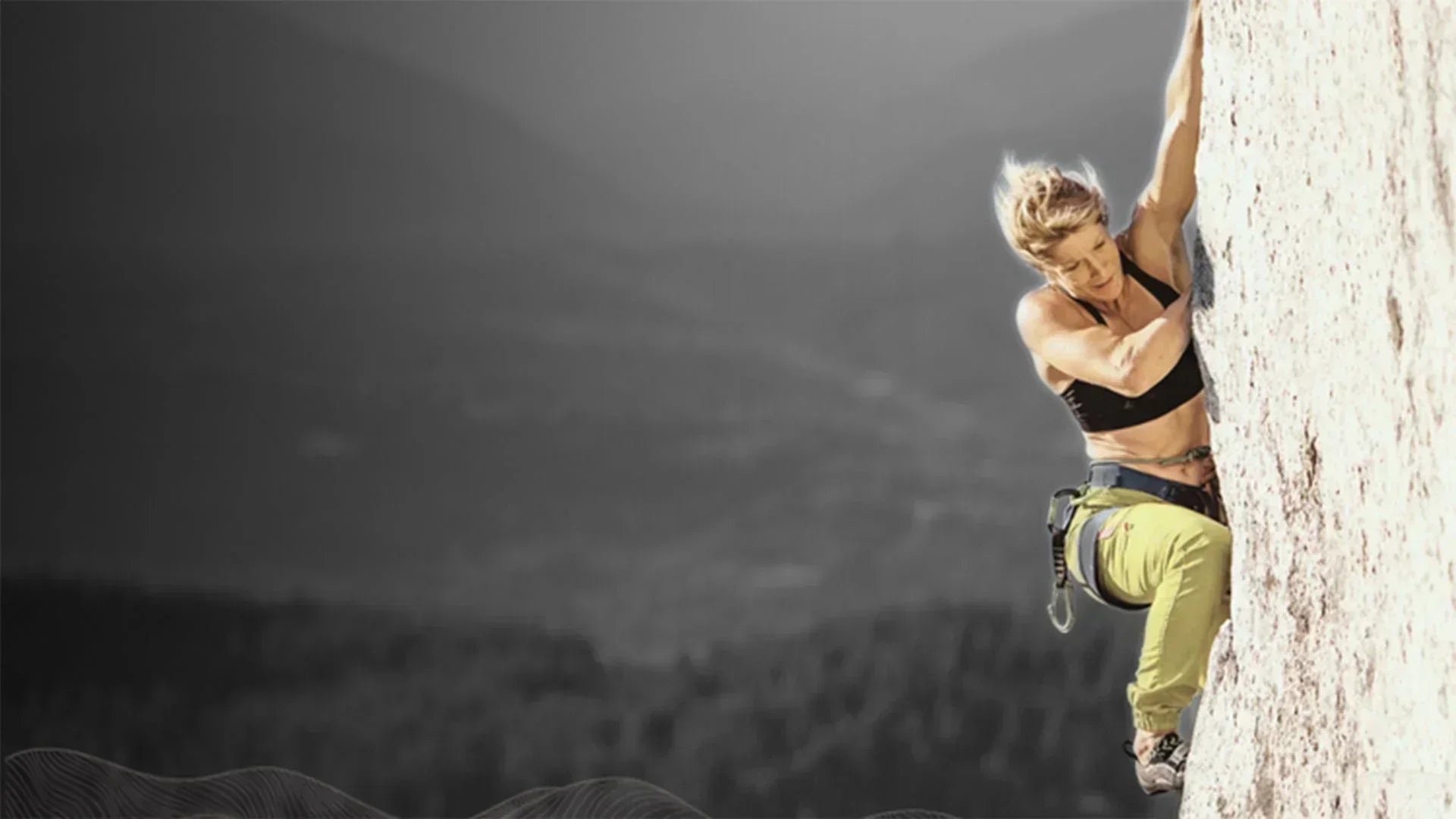 The Progressor 200 - Track Your Finger Strength – Climb On Equipment