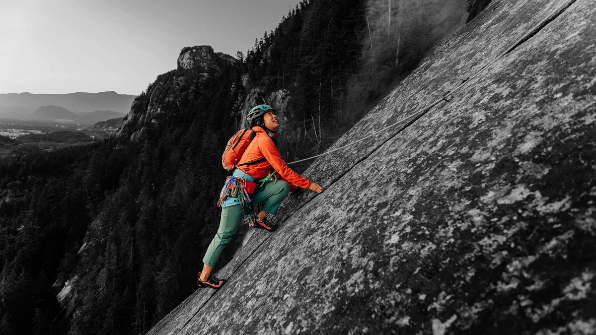 Tindeq Progressor 200 Rechargeable – Climb On Equipment